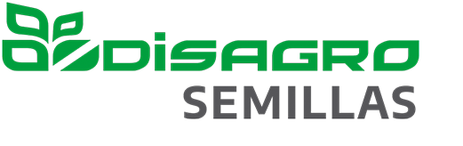 Semillas de Maíz - Disagro Guatemala