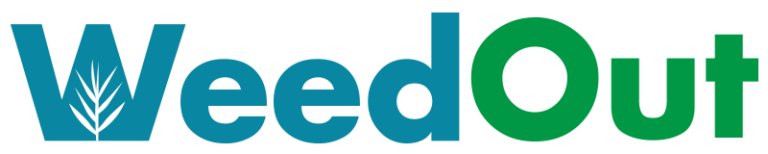 Protección de Cultivos - Disagro Guatemala