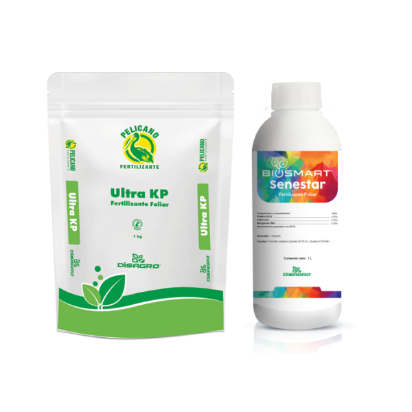 Ultra KP + BIOSMART® SENESTAR - Disagro Guatemala