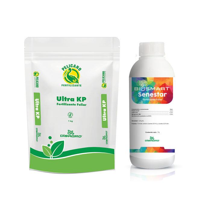 Grupo de productos - Disagro Guatemala