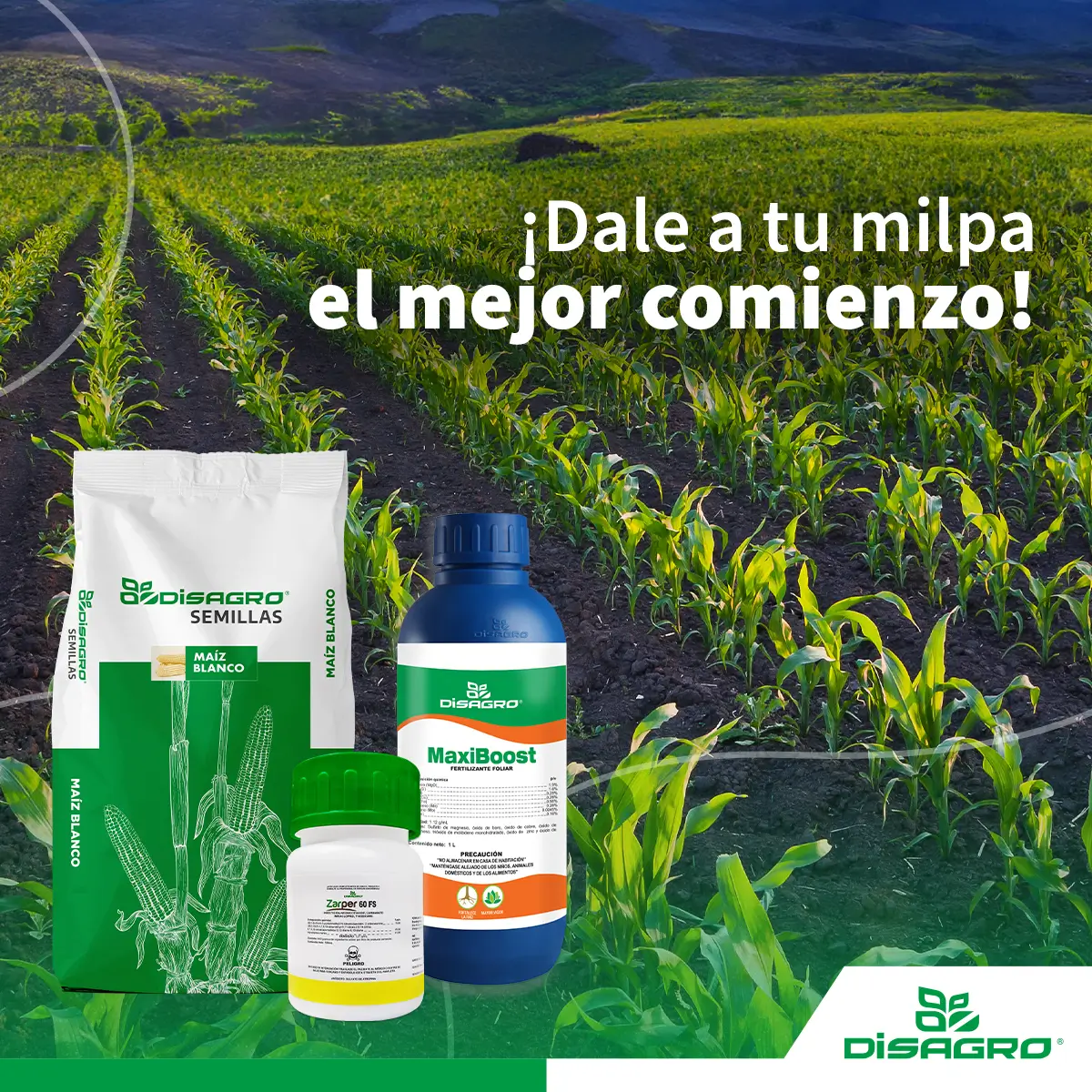 Semillas Disagro® + Zarper® +Maxiboost® - Disagro Guatemala