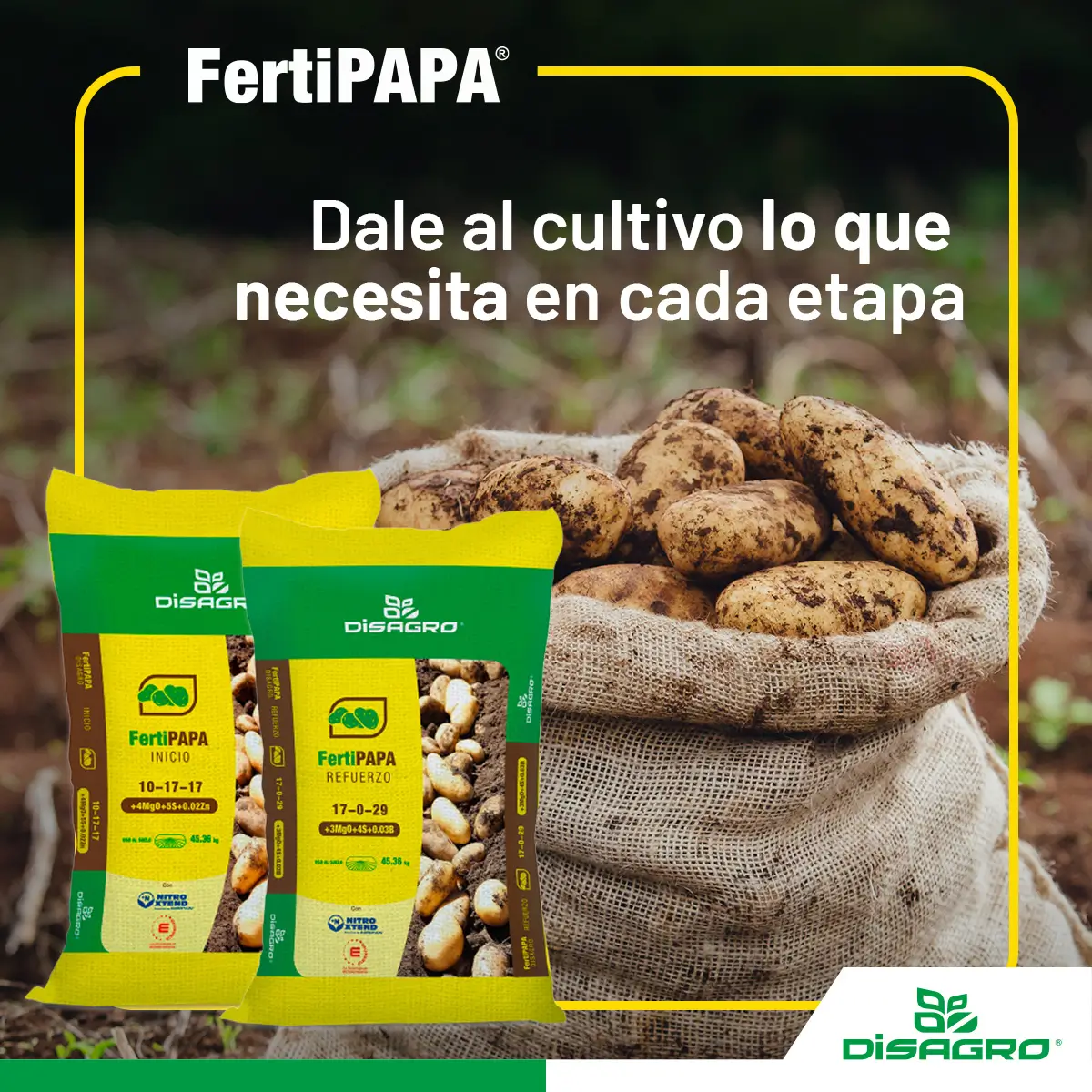 FertiPAPA® INICIO + FertiPAPA® REFUERZO - Disagro Guatemala