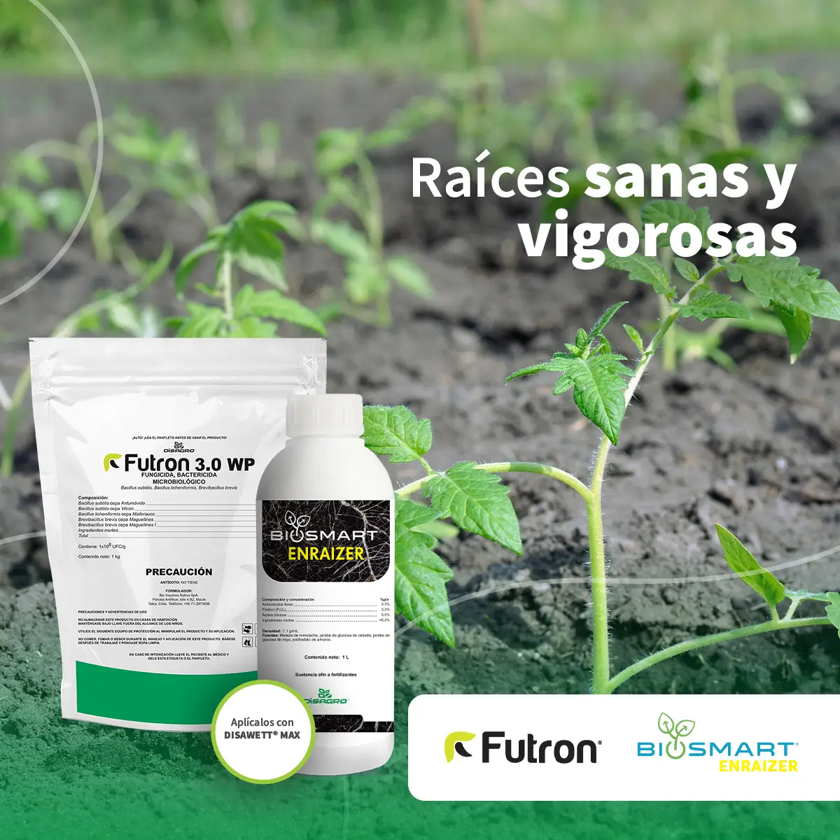 Futron® + Biosmart® Enraizer + Disawett® Max - Disagro Guatemala