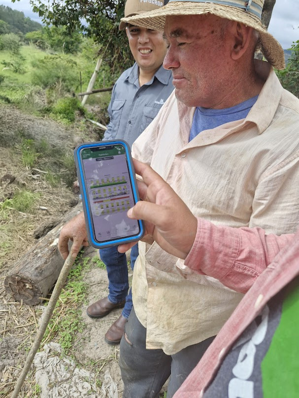 Transformación del cultivo de cebolla en Honduras - Disagro Guatemala