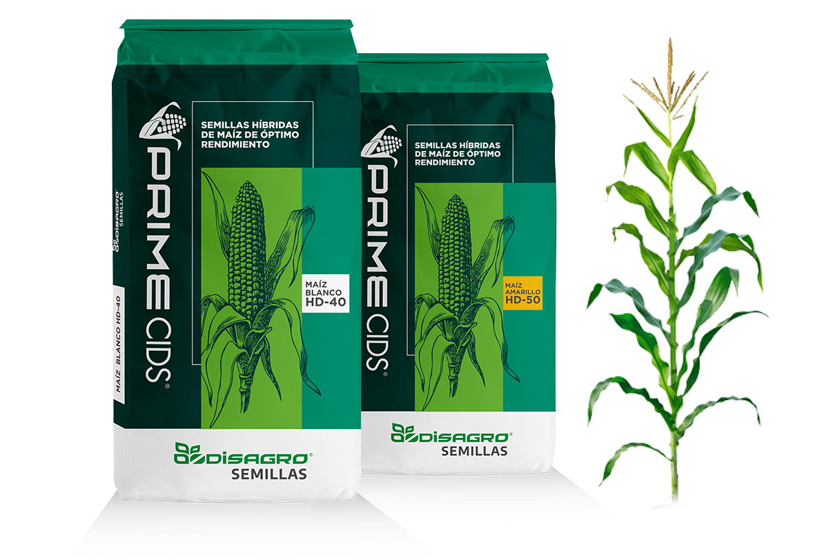Semilla de maíz híbrido | PRIME CIDS de DISAGRO