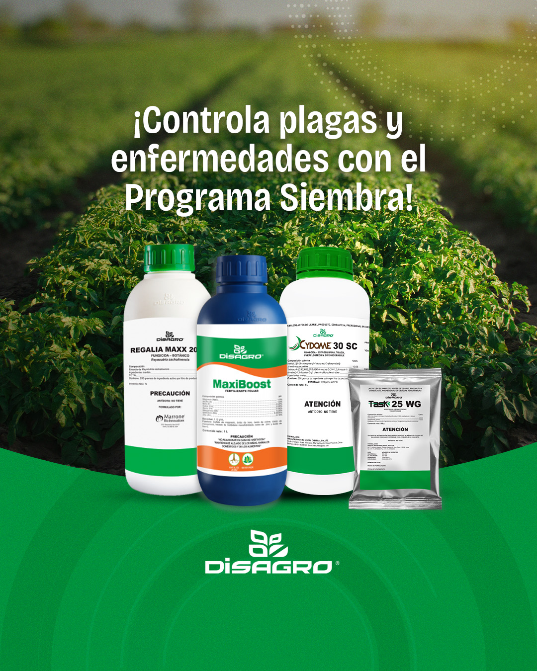 𝐏𝐫𝐨𝐠𝐫𝐚𝐦𝐚 𝐒𝐢𝐞𝐦𝐛𝐫𝐚 𝐝𝐞 𝐃𝐈𝐒𝐀𝐆𝐑𝐎® - Disagro Guatemala