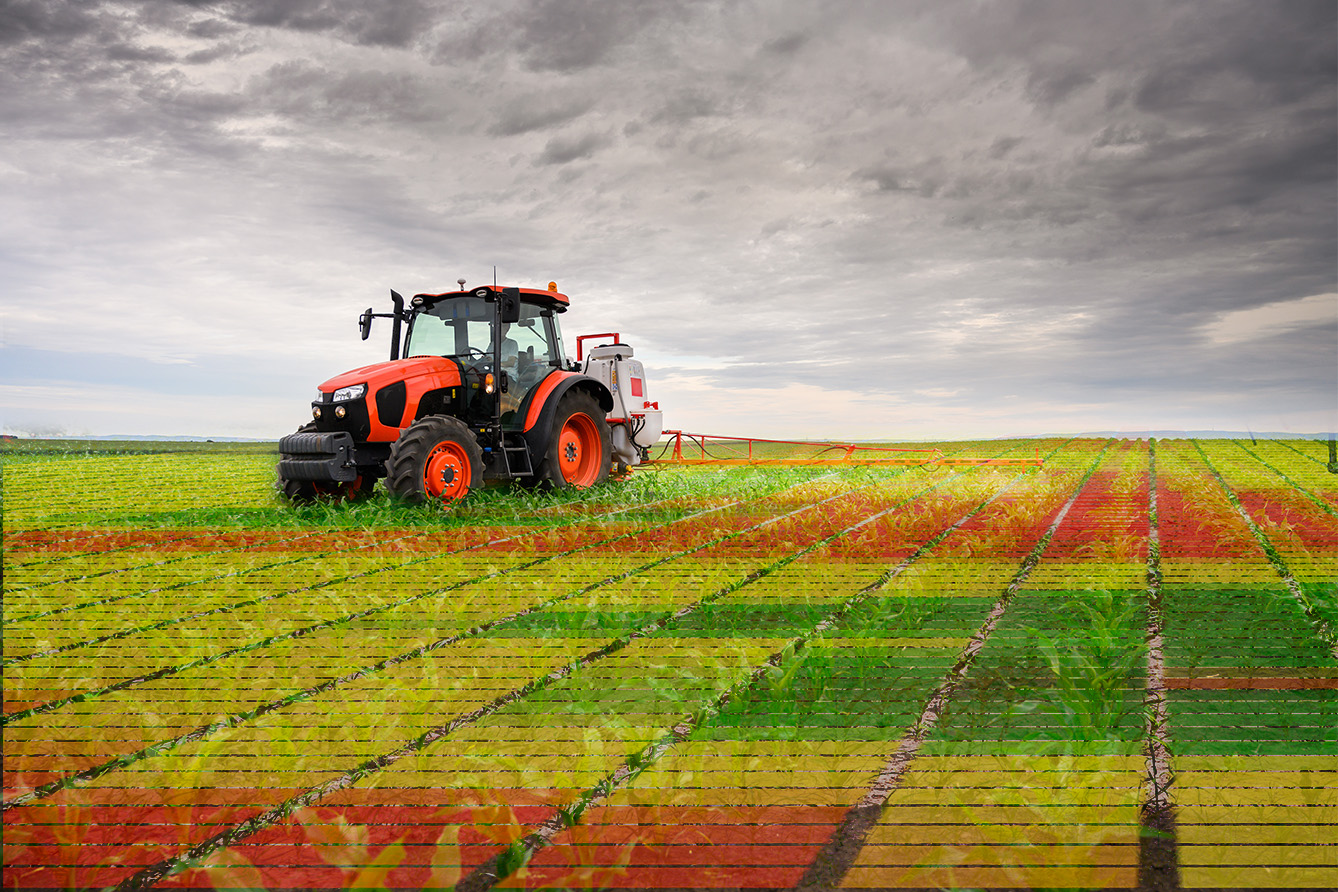 Análisis de la variabilidad espacial con Power Zones - Disagro Guatemala