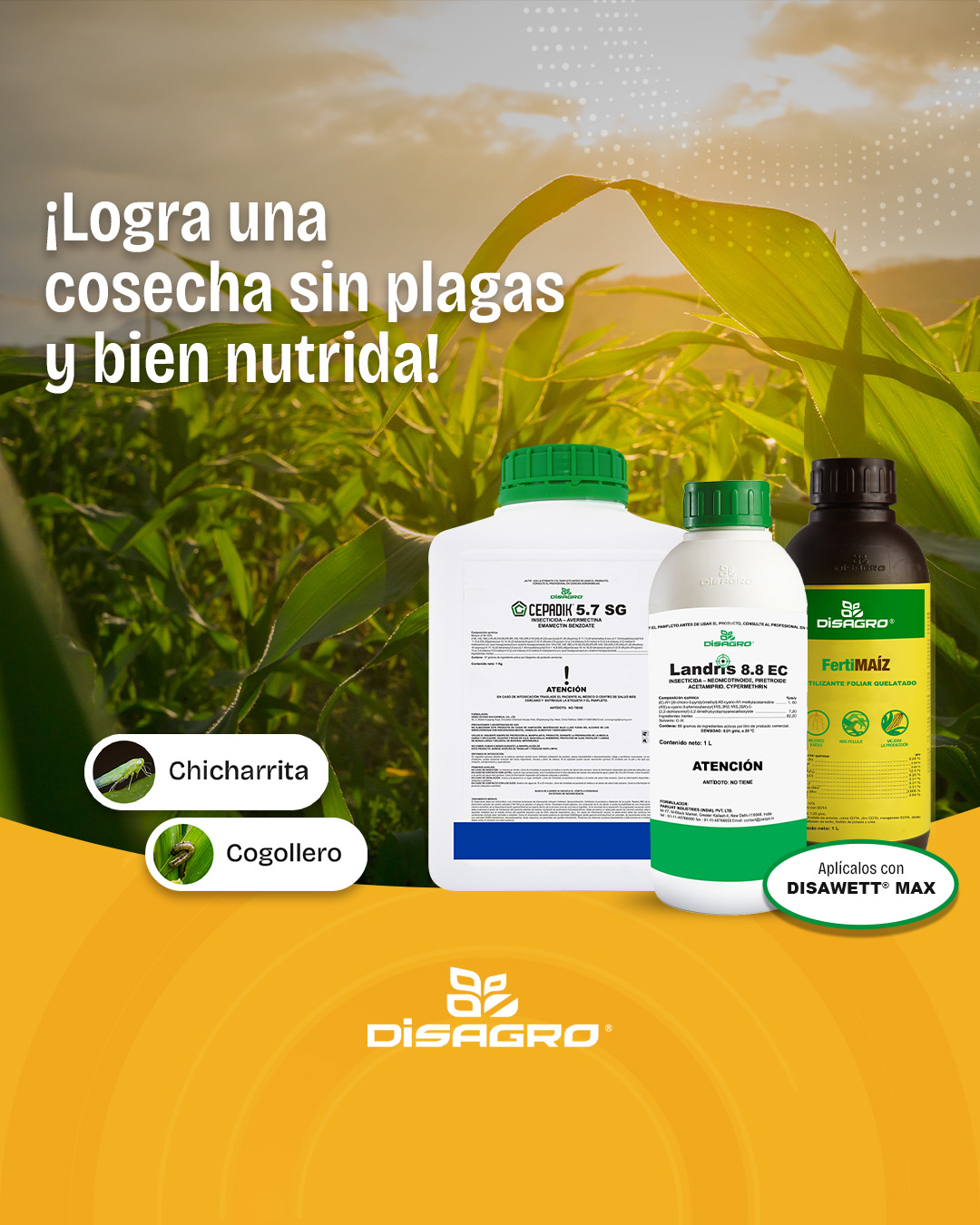 Landris + Cepadik +FertiMAÍZ Foliar - Disagro Guatemala