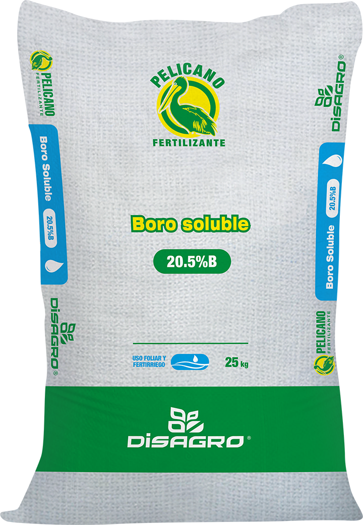 Boro Soluble - Disagro Guatemala