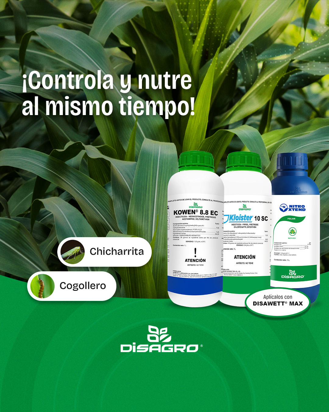 Kloister® y Kowen® + NITRO XTEND® Foliar - Disagro Guatemala
